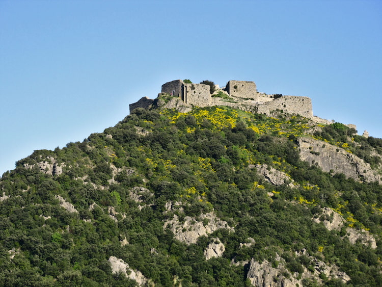 Termes Castle - History and Facts | History Hit