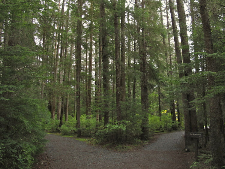 Sitka National Historical Park - History and Facts | History Hit