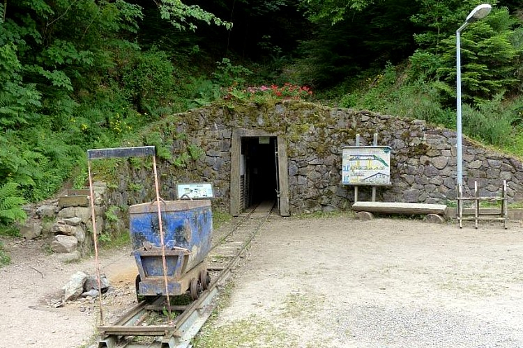 St Nicolas Mine - History and Facts | History Hit