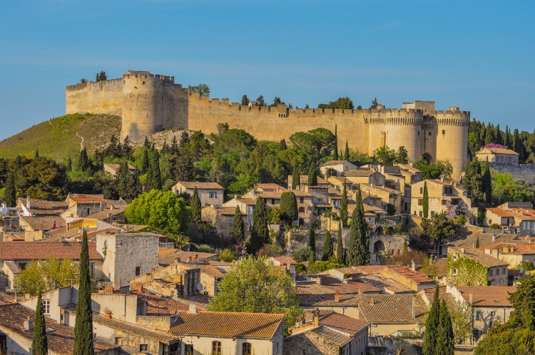 Saint-André Castle - History and Facts | History Hit